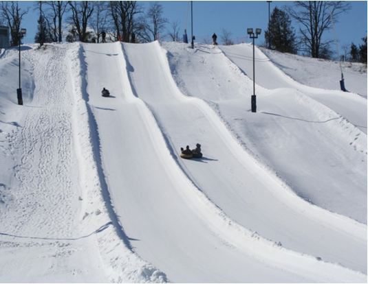 Mon Erasmus au Canada à London